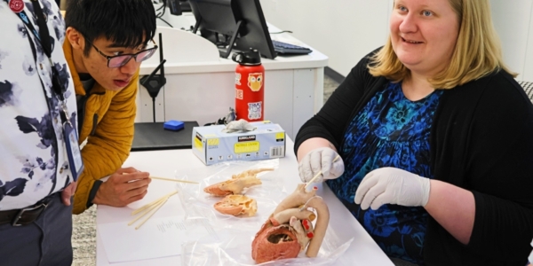 5 Reasons Why Plastinated Specimens Are an Excellent Alternative to ...